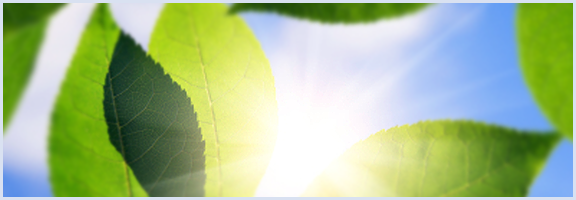 Spray-on Solar Power, Printers That Make Buildings & Generating Power ...